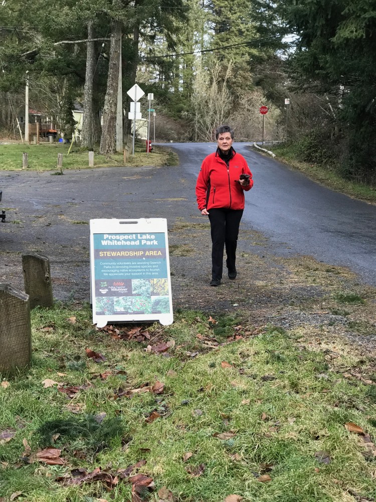 Whitehead Park 2017 | Friends of Tod Creek Watershed