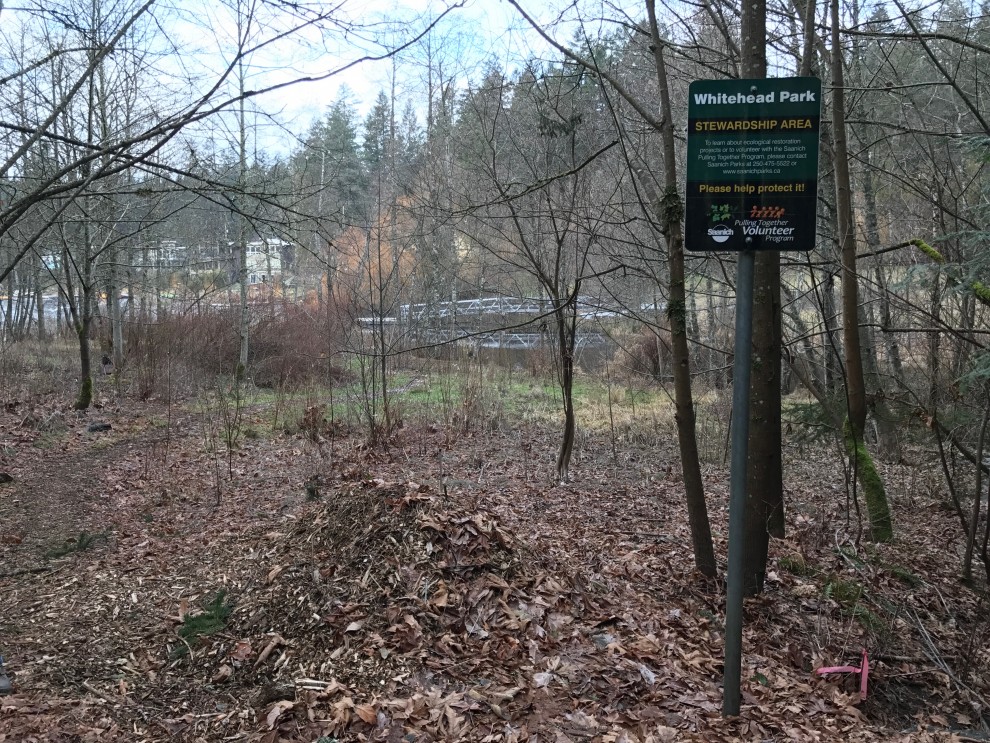 Whitehead Park 2017 | Friends of Tod Creek Watershed