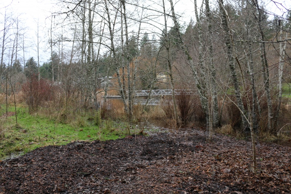 Whitehead Park 2019 | Friends of Tod Creek Watershed