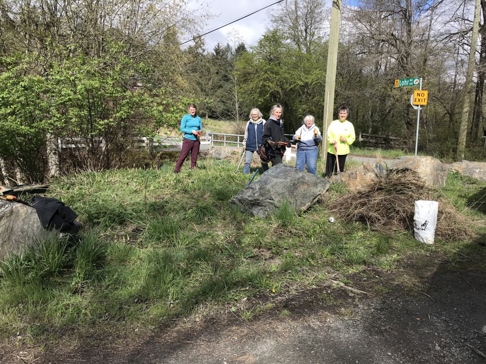 Whitehead Park 2019 | Friends of Tod Creek Watershed