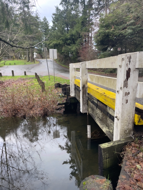 Whitehead Park 2024 | Friends of Tod Creek Watershed
